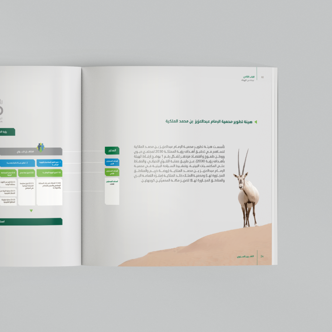 Imam Abdulaziz Bin Mohammed Royal Reserve Development Authority | Ideas ...